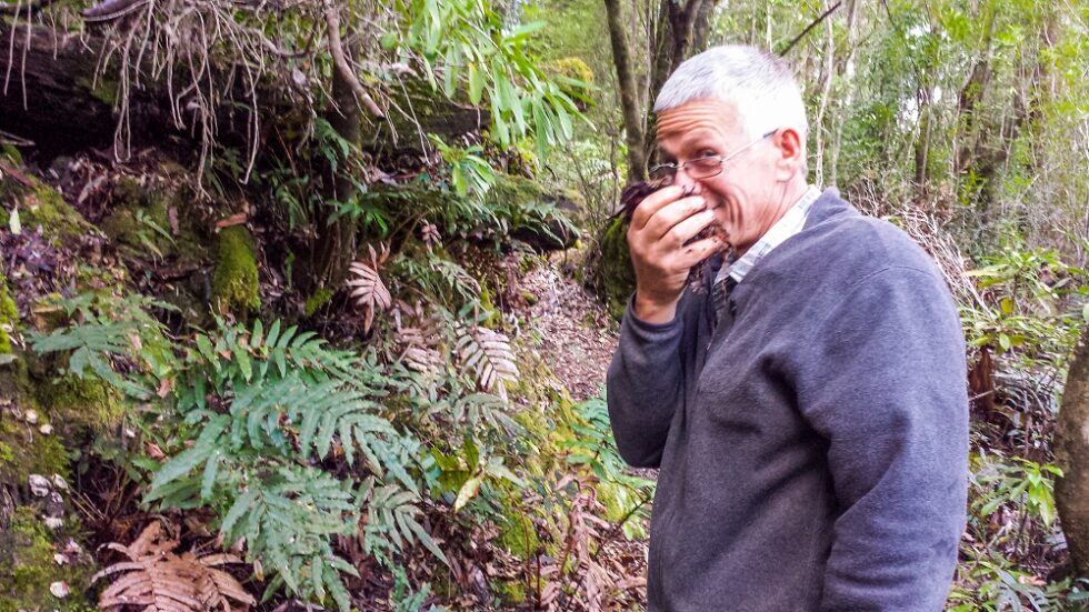 3 simple ways to improve your soil for your fruit trees – Grow Great Fruit